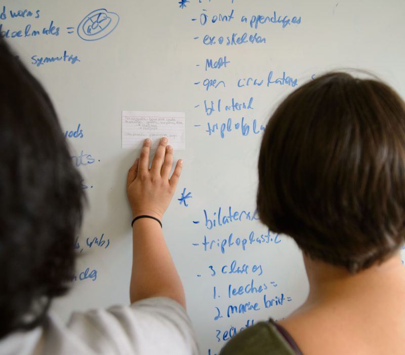 Home | Avery Point Academic Center -- Tutoring Services